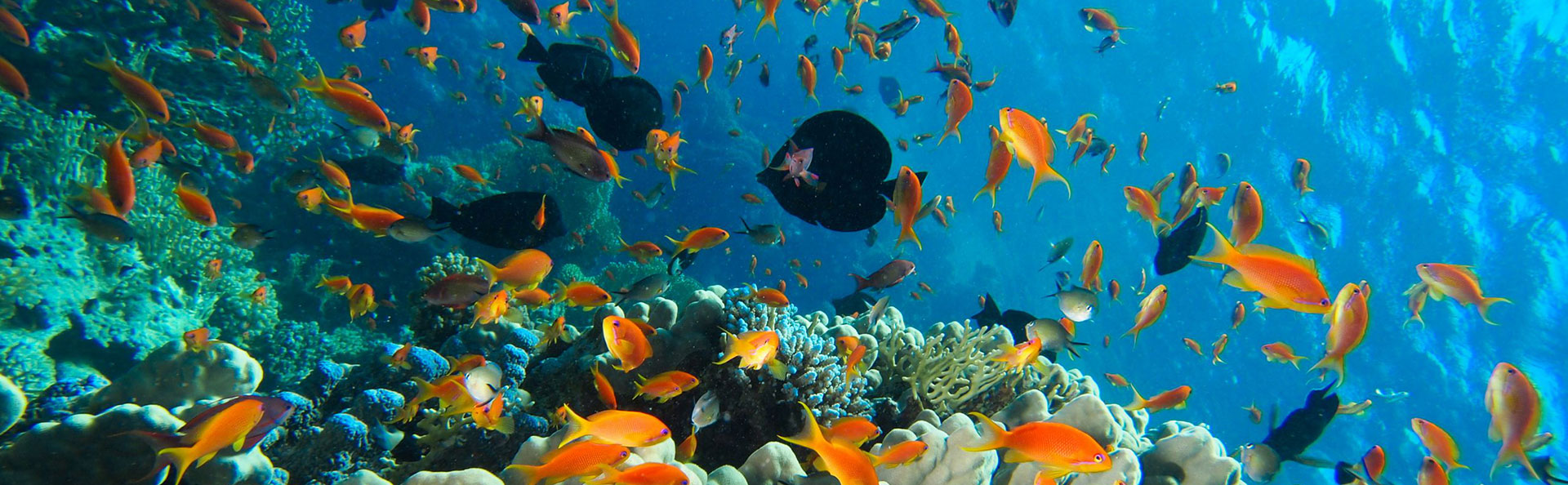 Creating Destinations - ECERDC